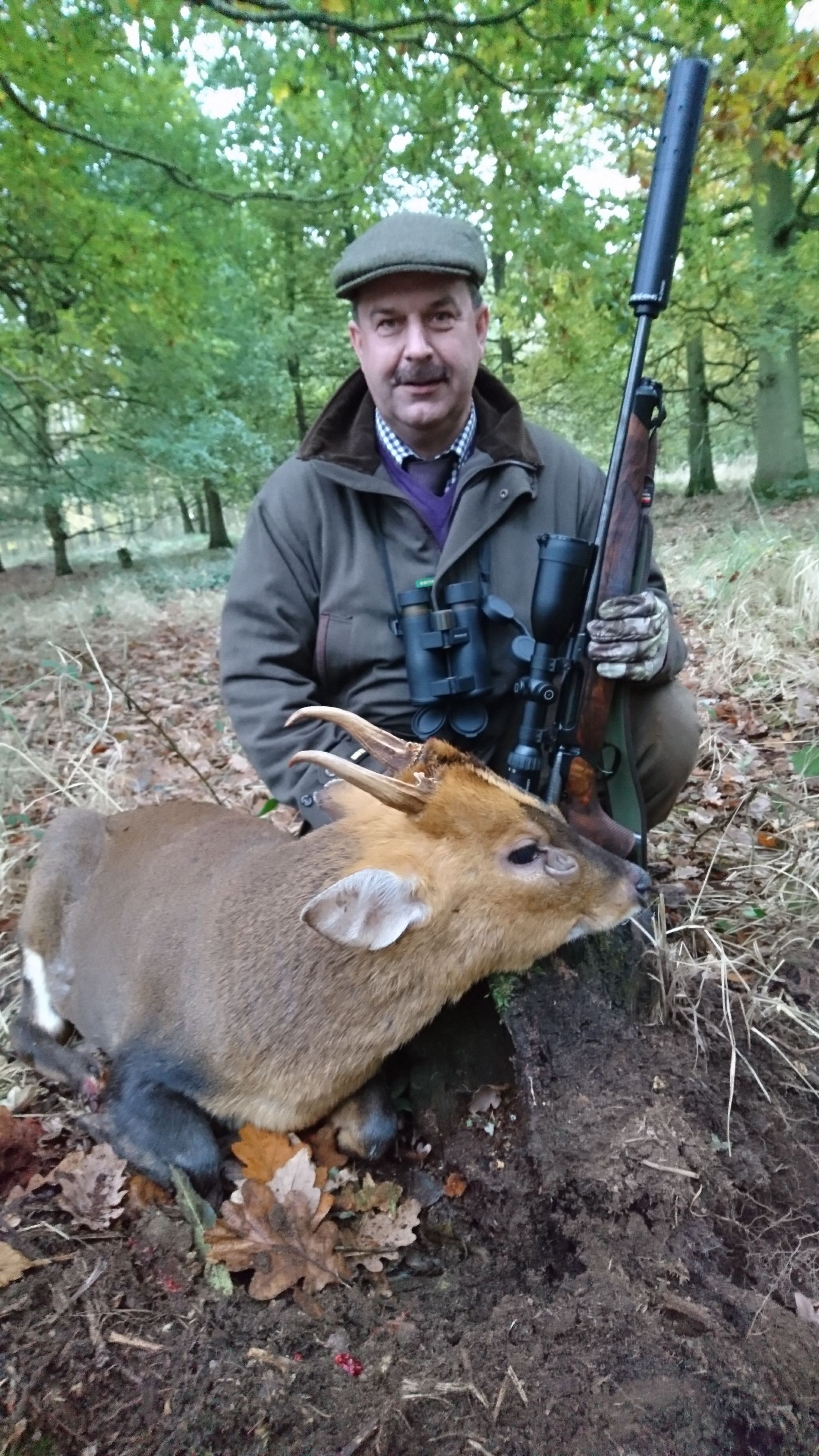 Jakt på vattenrådjur, Muntjac, dovhjort i England